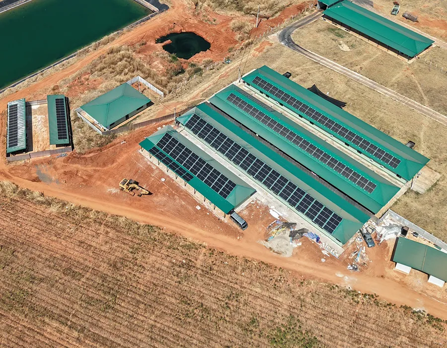 บริษัท เอส เอ็น บรีดเดอร์ ฟาร์ม จำกัด