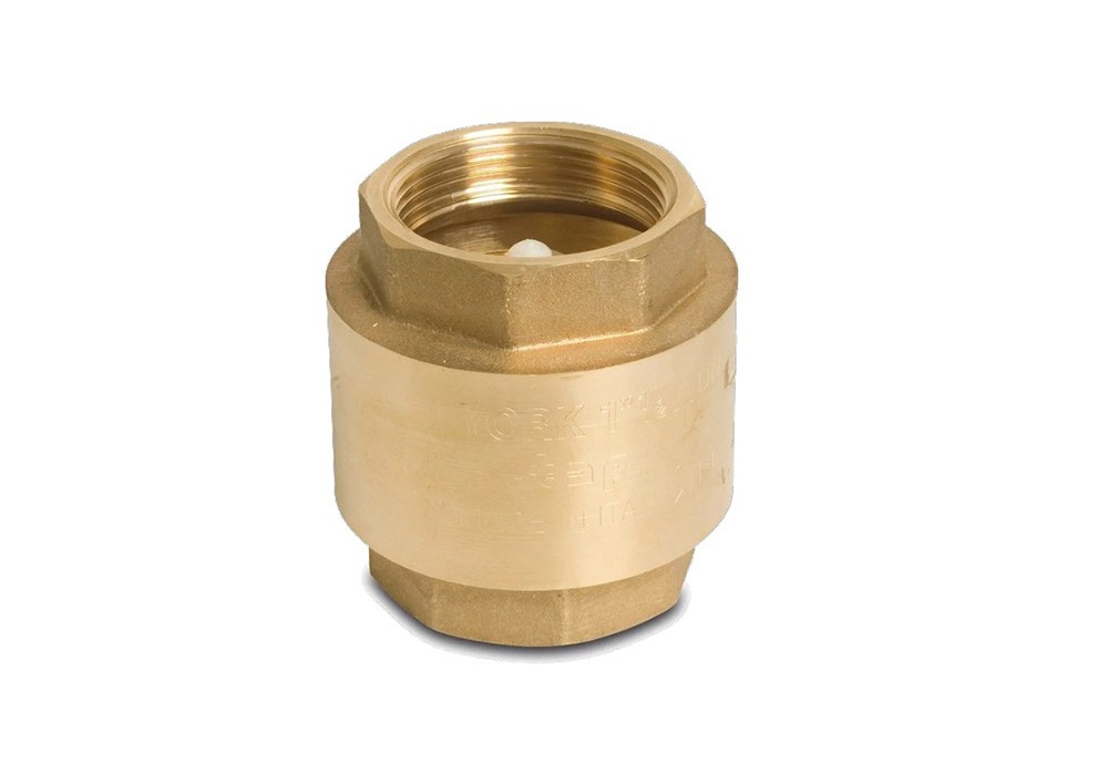 Spring Check Valve