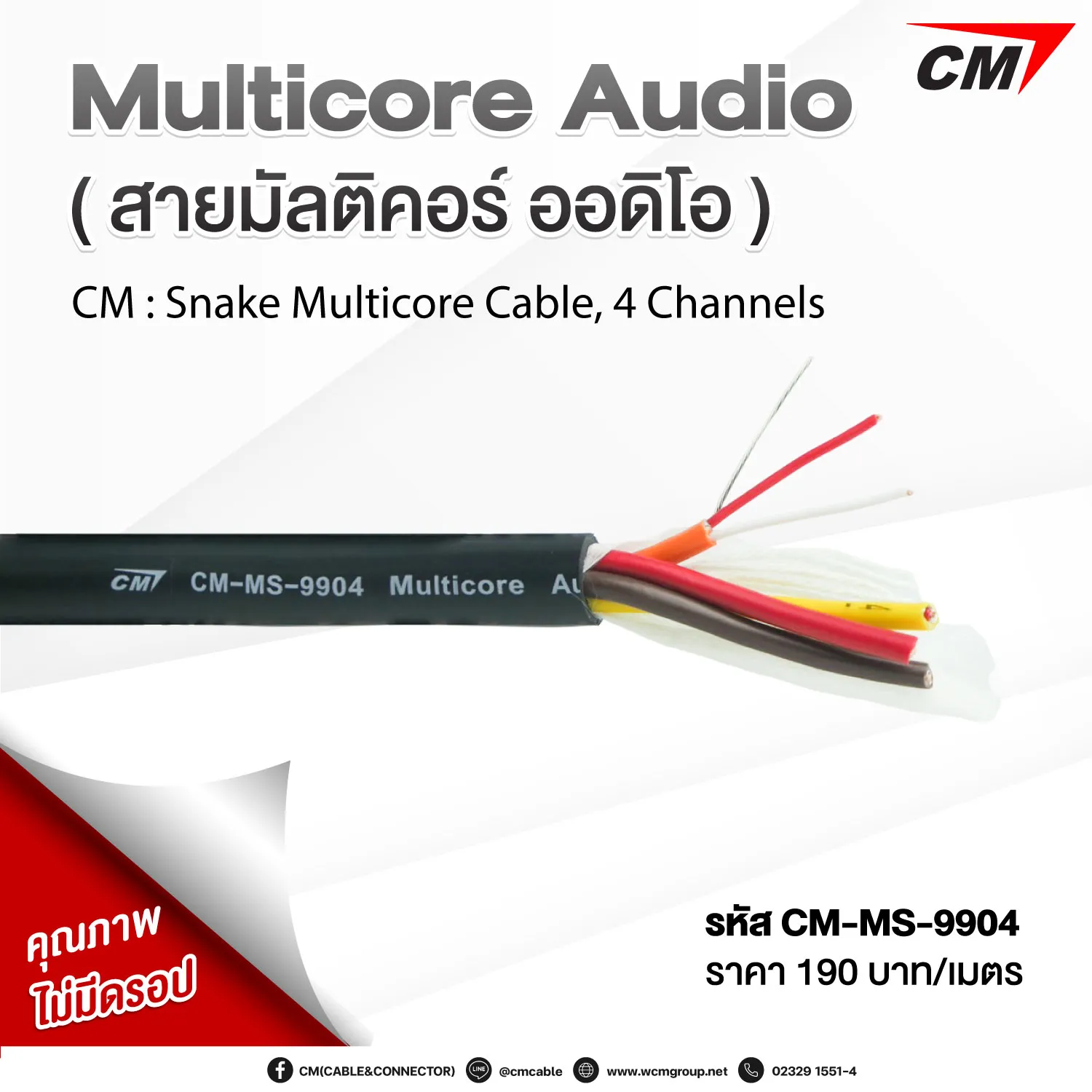 CM : Snake Multicore Audio Cable