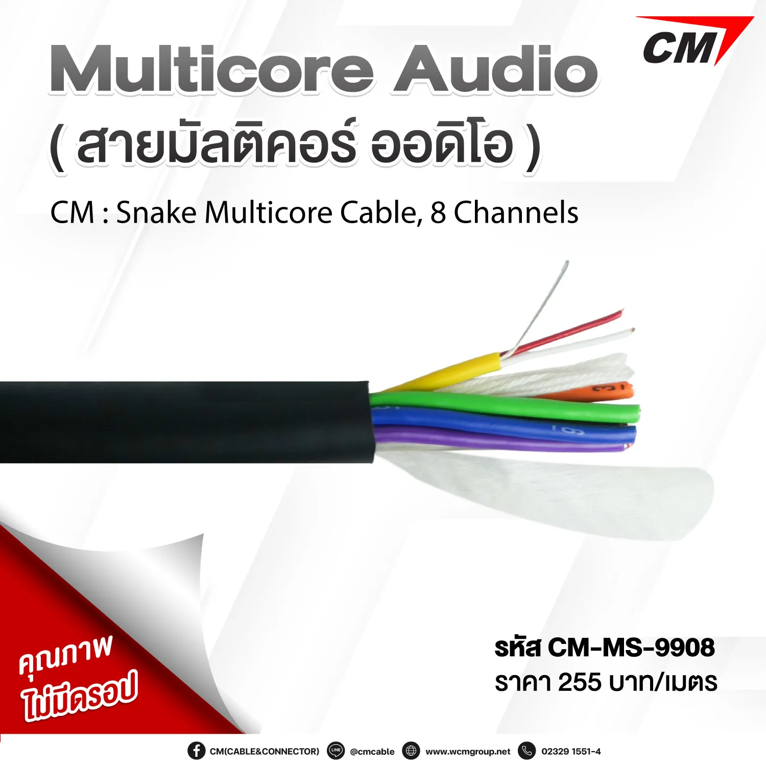 CM : Snake Multicore Audio Cable