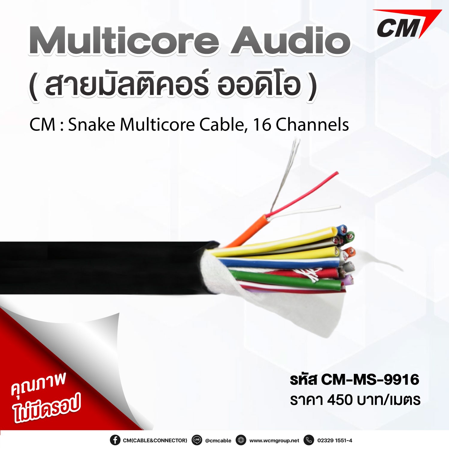 Multicore Audio Cable
