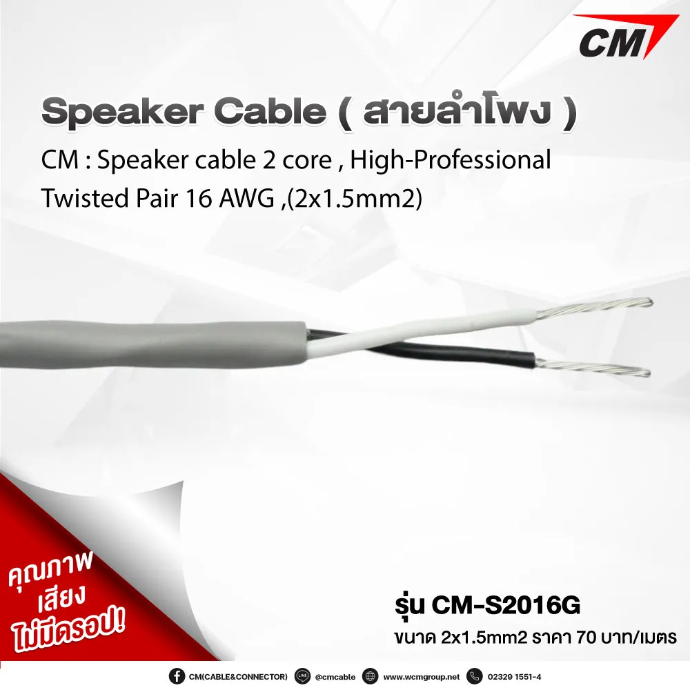 CM : Speaker Cable 2 Core , High-Professional Twisted Pair 16 AWG (2x1 ...