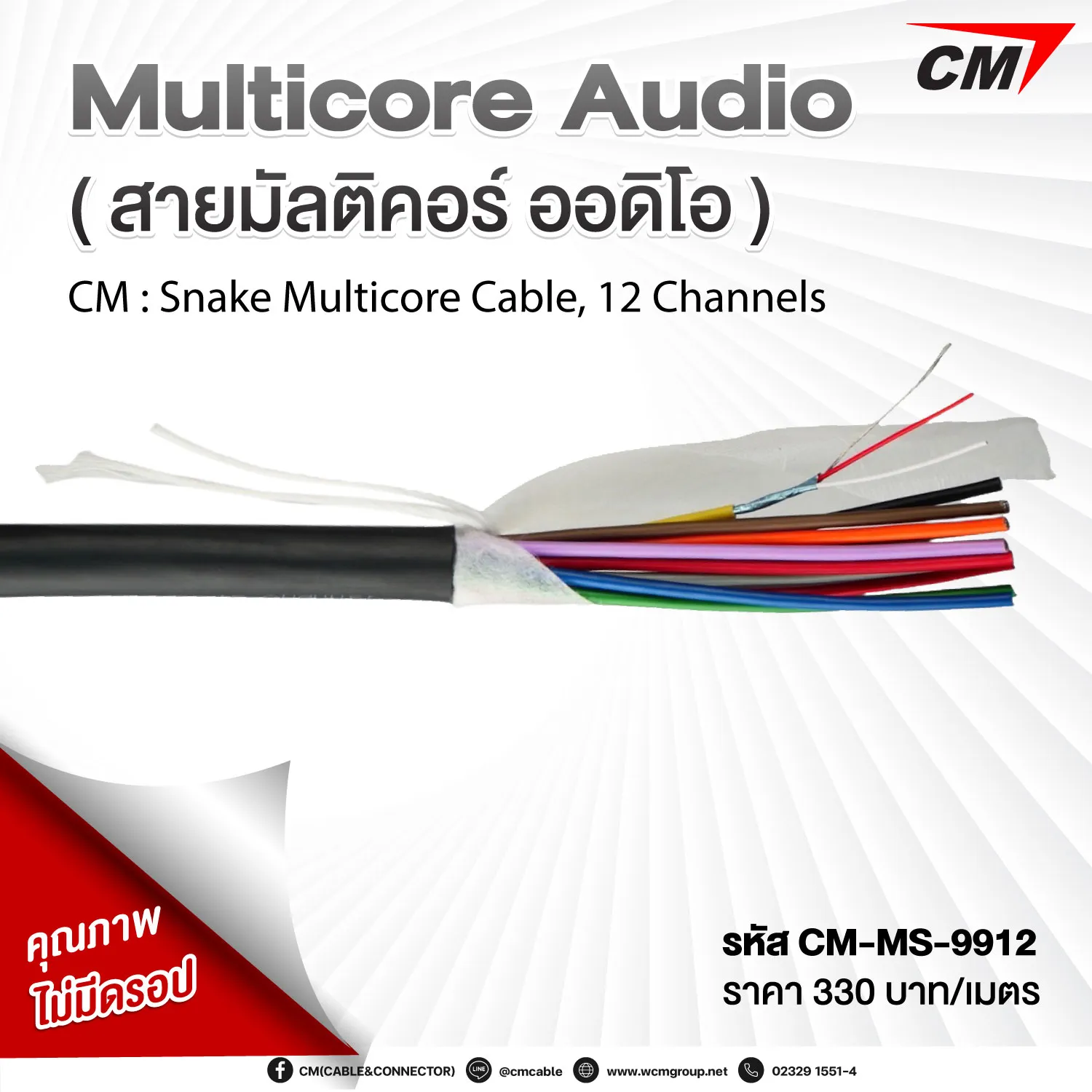 CM : Snake Multicore Audio Cable