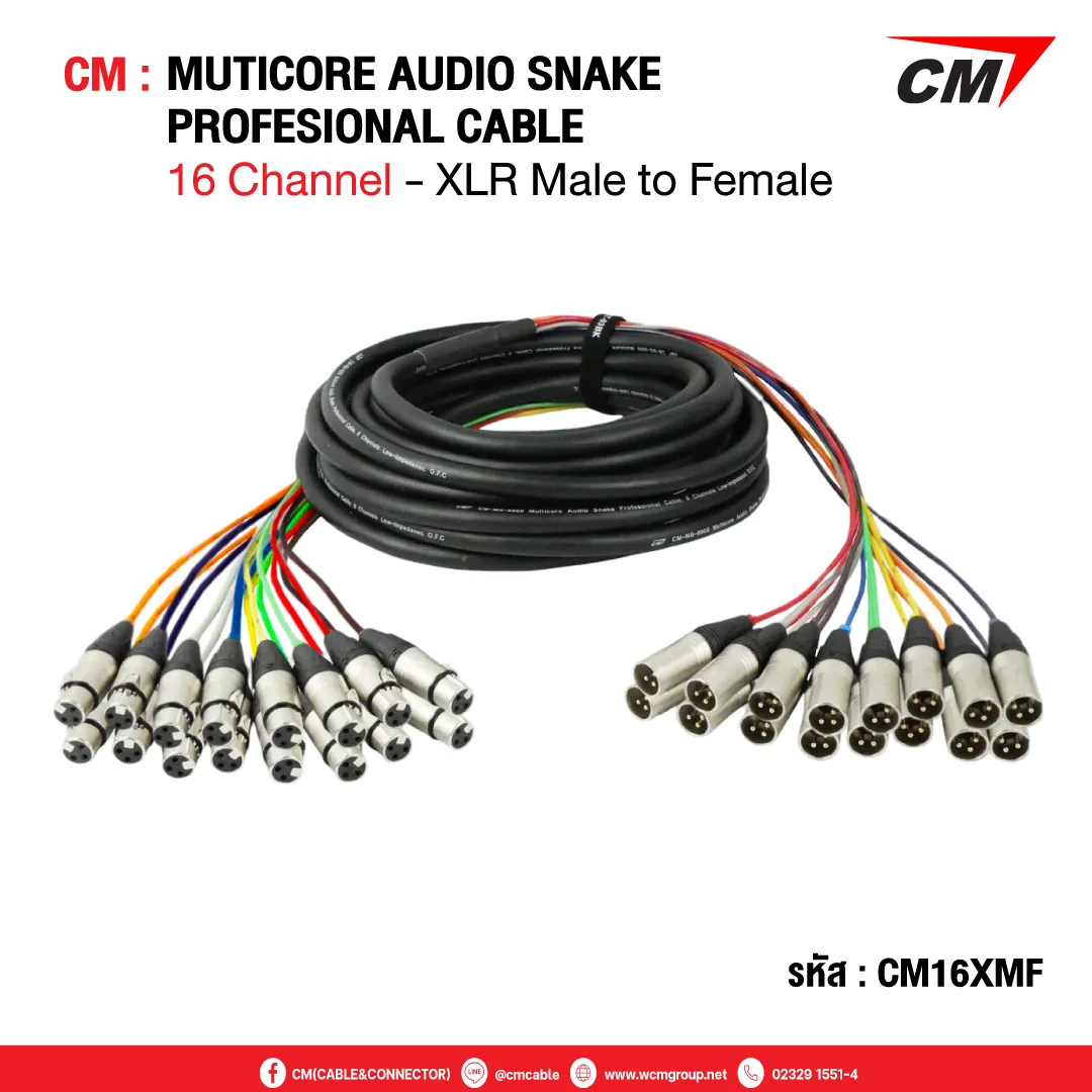 Snake Multicore Assembly Cable