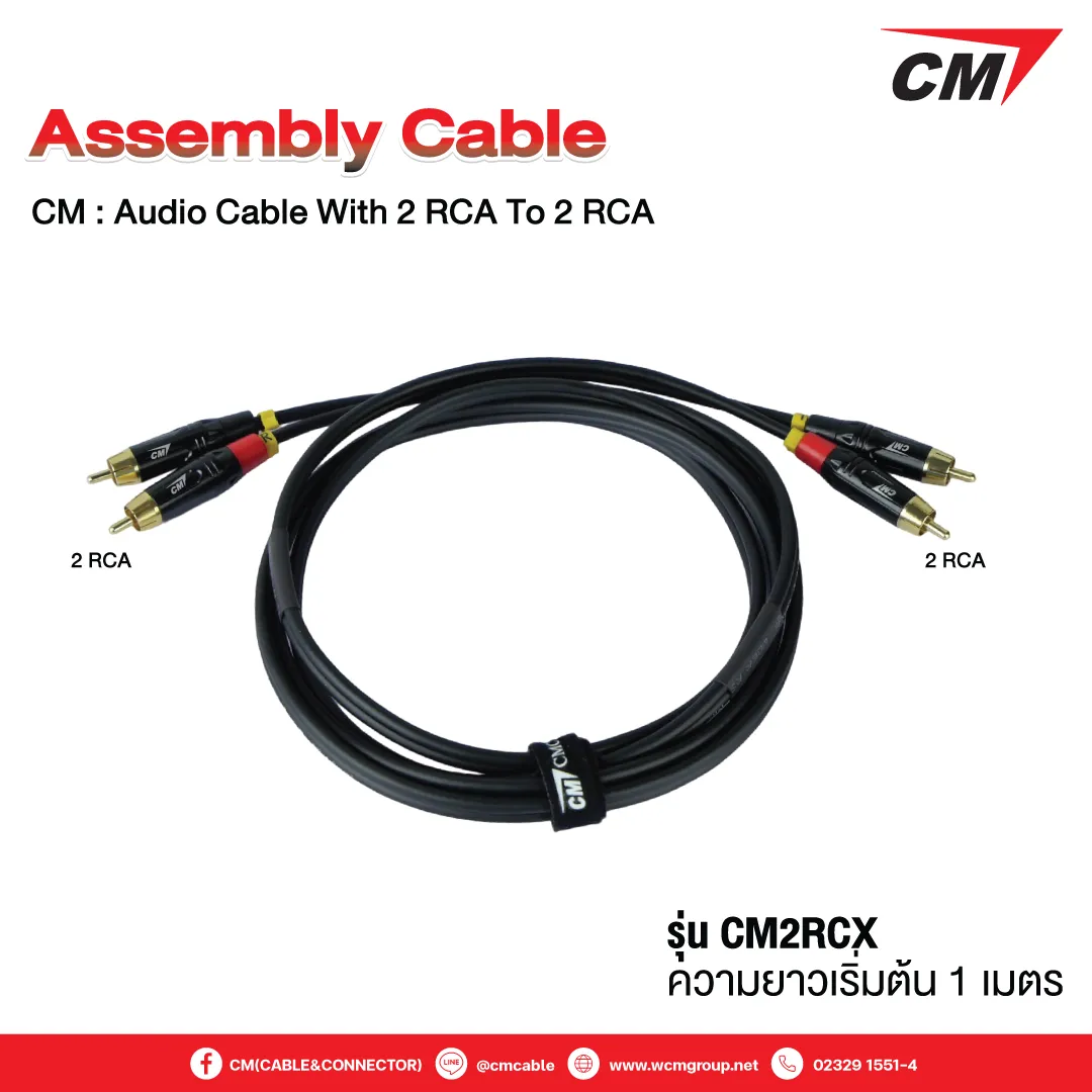CM : Audio Cable with 2 RCA to 2 RCA