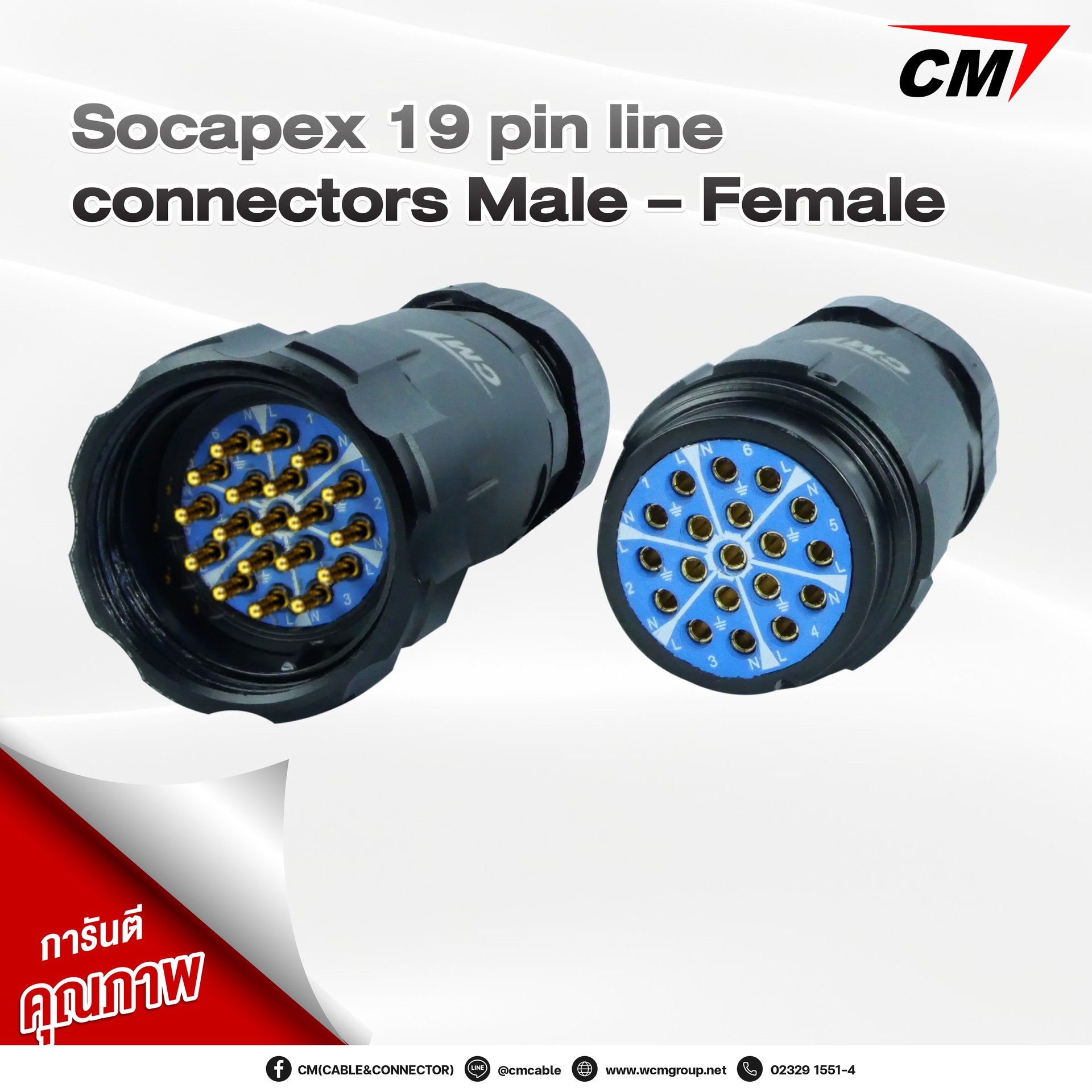CM : Socapex Connector 19 Pin Line แบบต่อสาย
