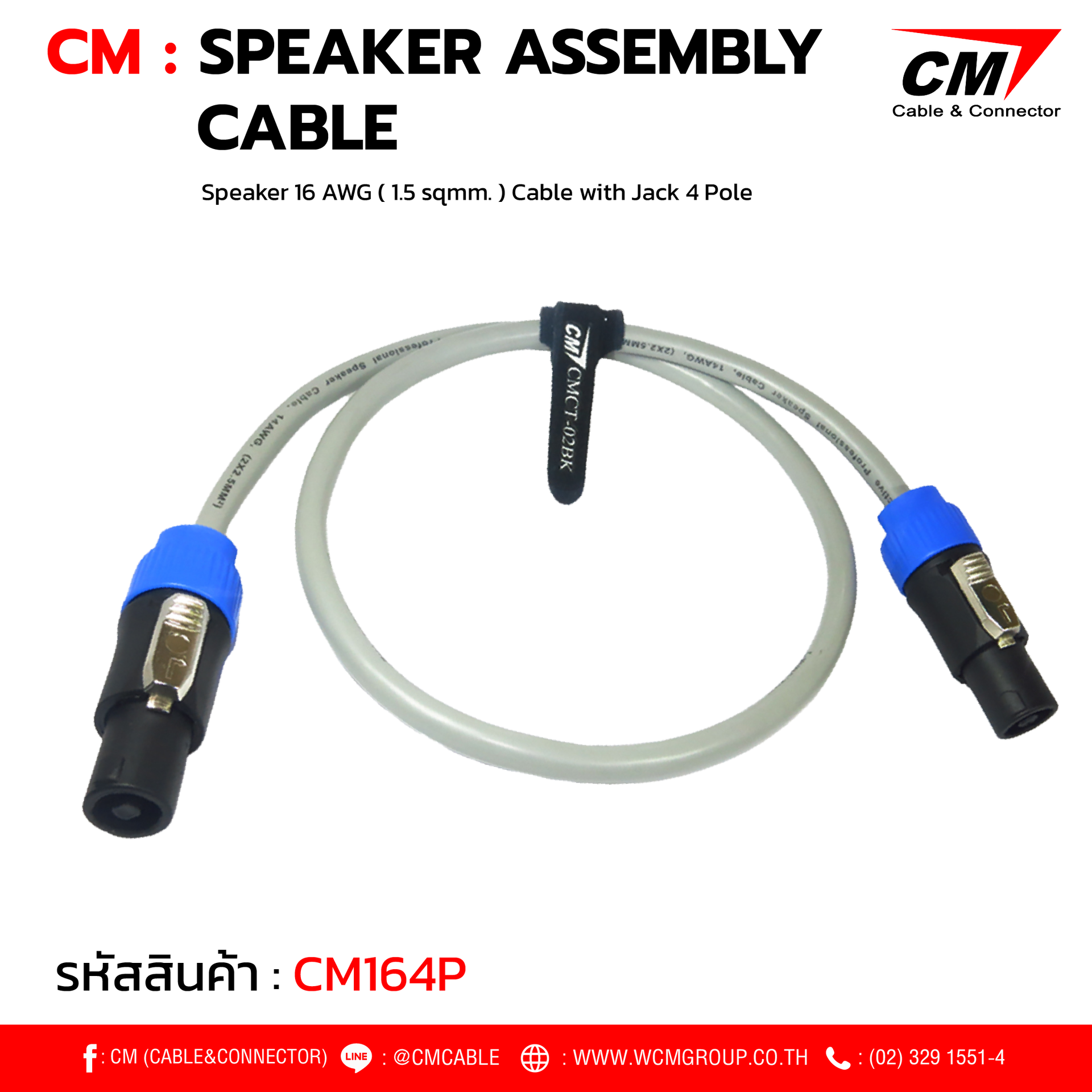 Speaker Assembly Cable