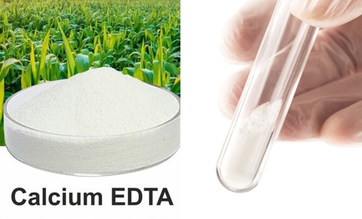 แคลเซียมไดโซเดียมอีดีทีเอ, Calcium Disodium EDTA (CaNa2EDTA) (DRAFT)