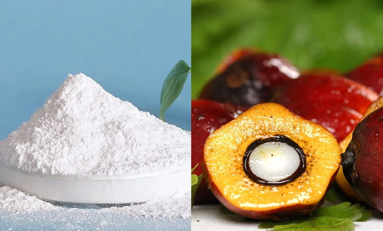 แมกนีเซียม สเตียเรต, Magnesium Stearate