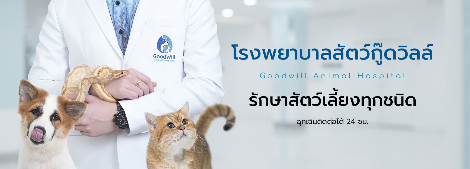 หน้าแรก