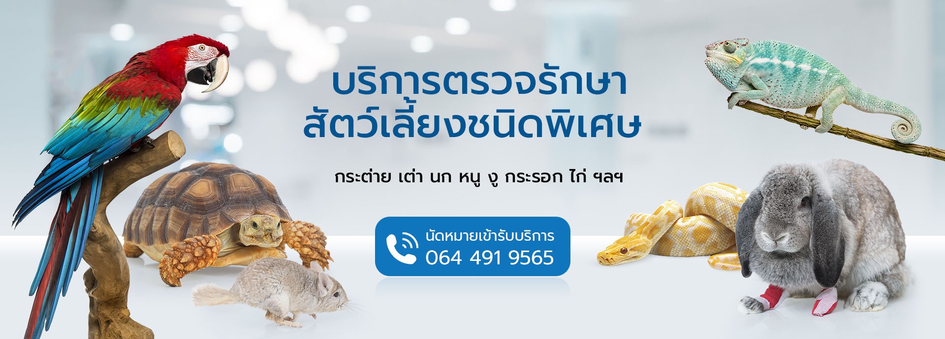 หน้าแรก