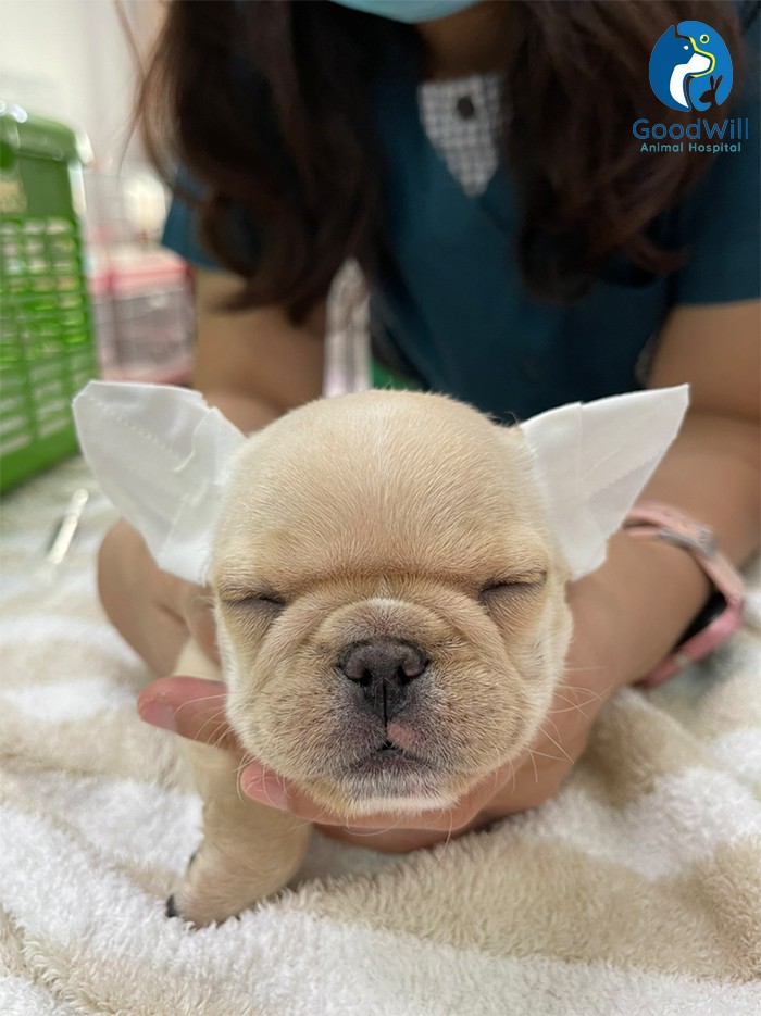 หน้าแรก