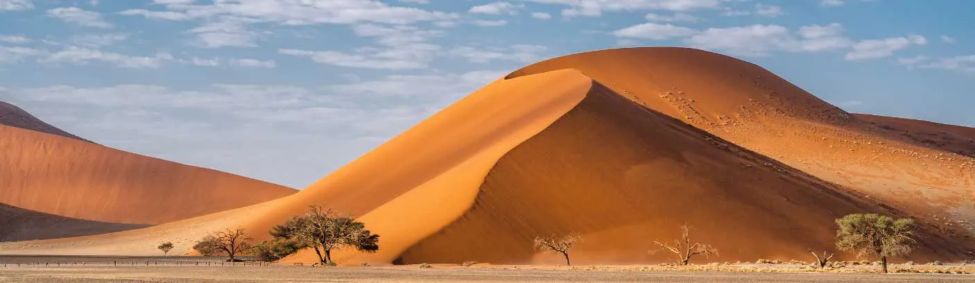 ทัวร์แอฟริกา : GRAND NAMIBIA 10 – 21 ตุลาคม 2568