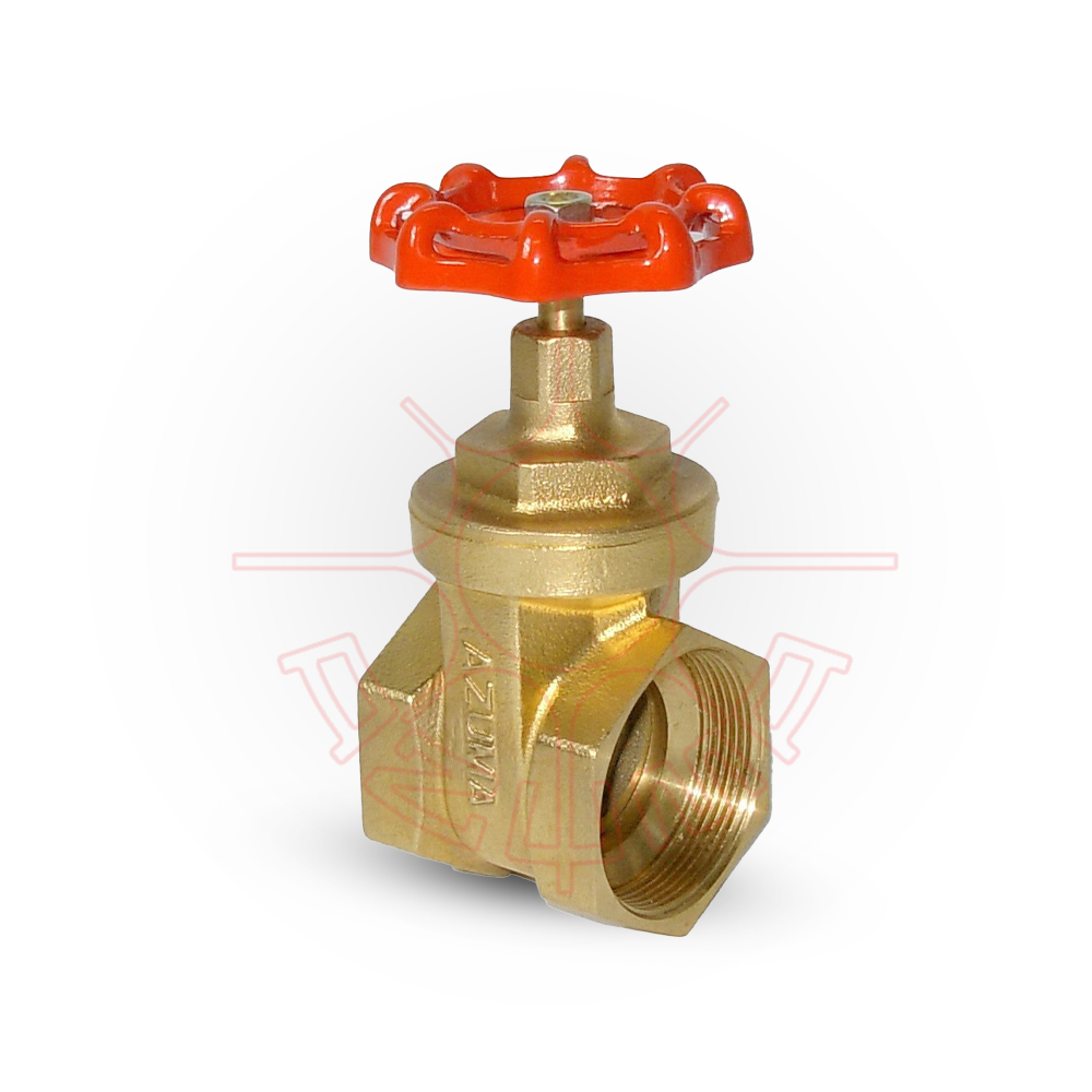 หน้าแรก