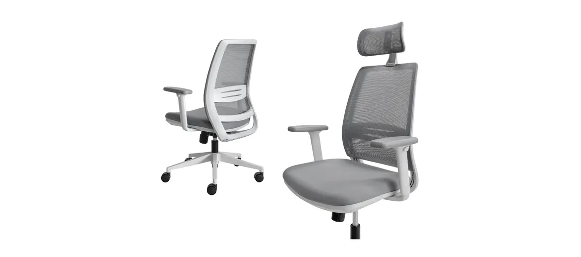 Synergy Ergonomic Chair