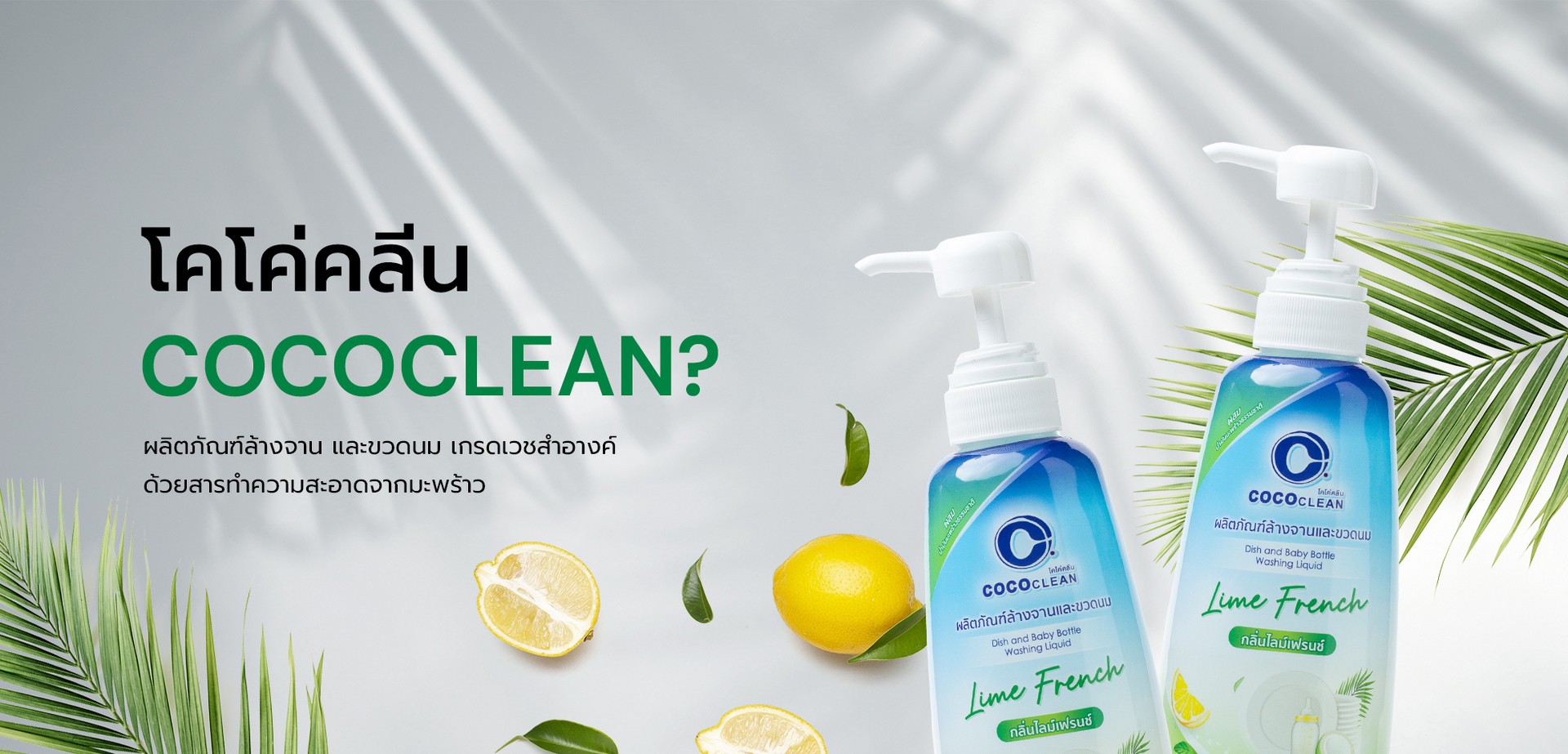 Home [www.cococleanthailand.com]