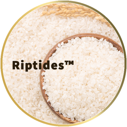 Clear Plant Based Protein