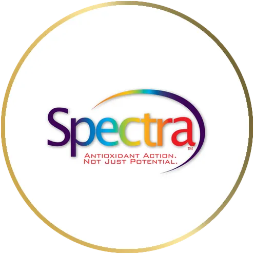 รับผลิต Teloage สูตรชะลอวัยปกป้องเทโลเมียร์