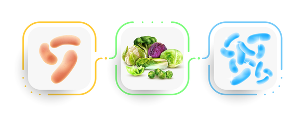 โพสต์ไบโอติก (Postbiotic) นวัตกรรมแห่งอนาคต
