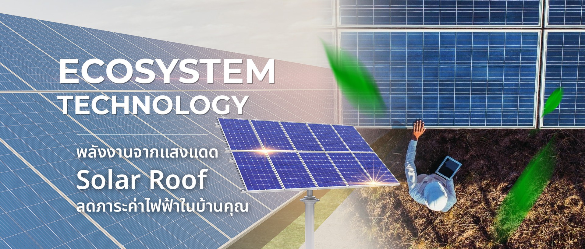 บริษัท อีโค่ ซิสเท็ม เทคโนโลยี จำกัด ECOSYSTEM TECHNOLOGY