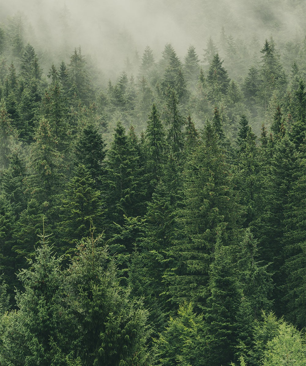 Home [www.sunbeamhotel.net]