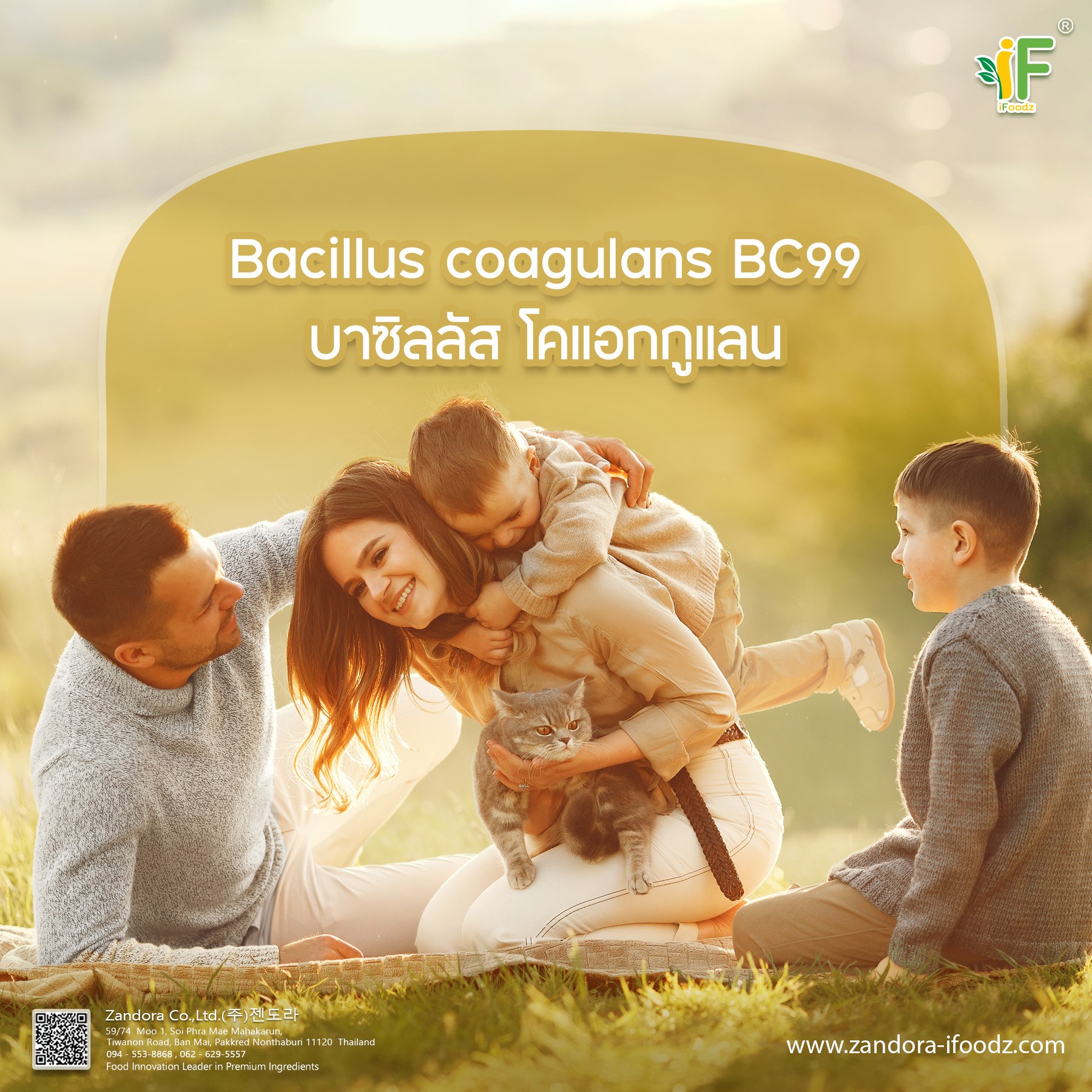 Bacillus coagulans BC99 (บาซิลลัส โคแอกกูแลน)