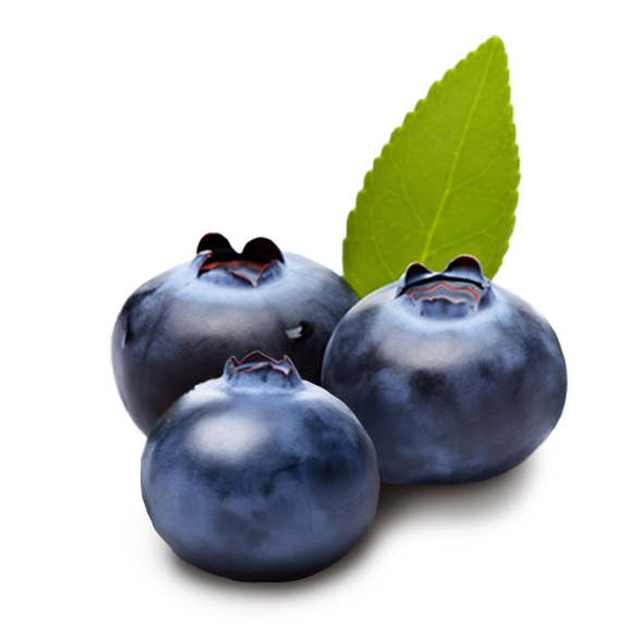 บิลเบอร์รี่ ( Bilberry )