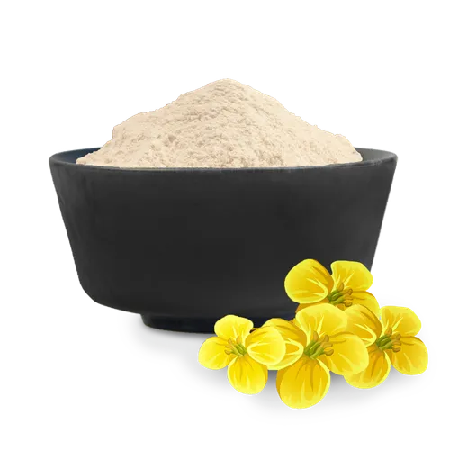 น้ำมันอีฟนิ่งพริมโรส ( Evening Primrose Oil Powder )