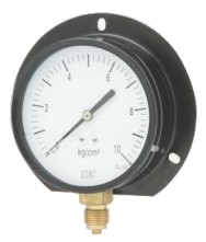 Pressure Gauges