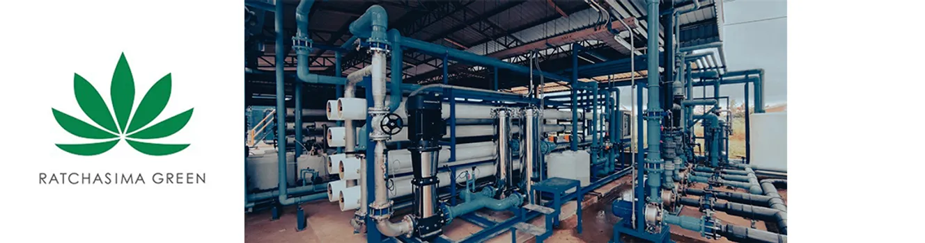 Ratchasima Green Starch Co.,Ltd