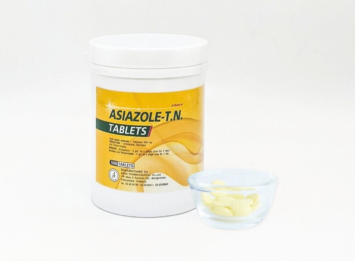 ASIAZOLE T.N. 500 mg 500'T