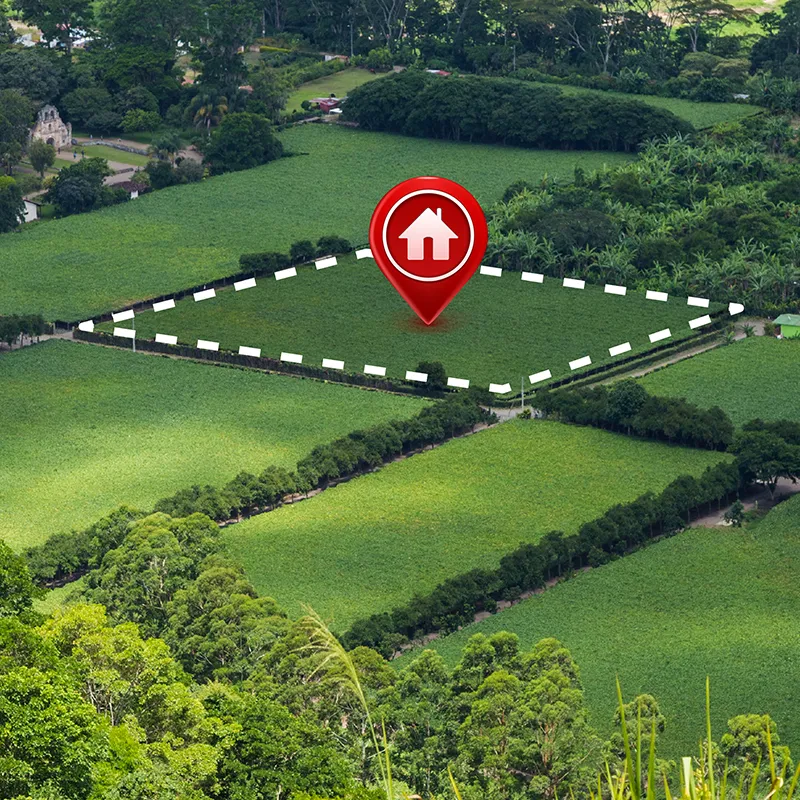 Land-and-Property-Management