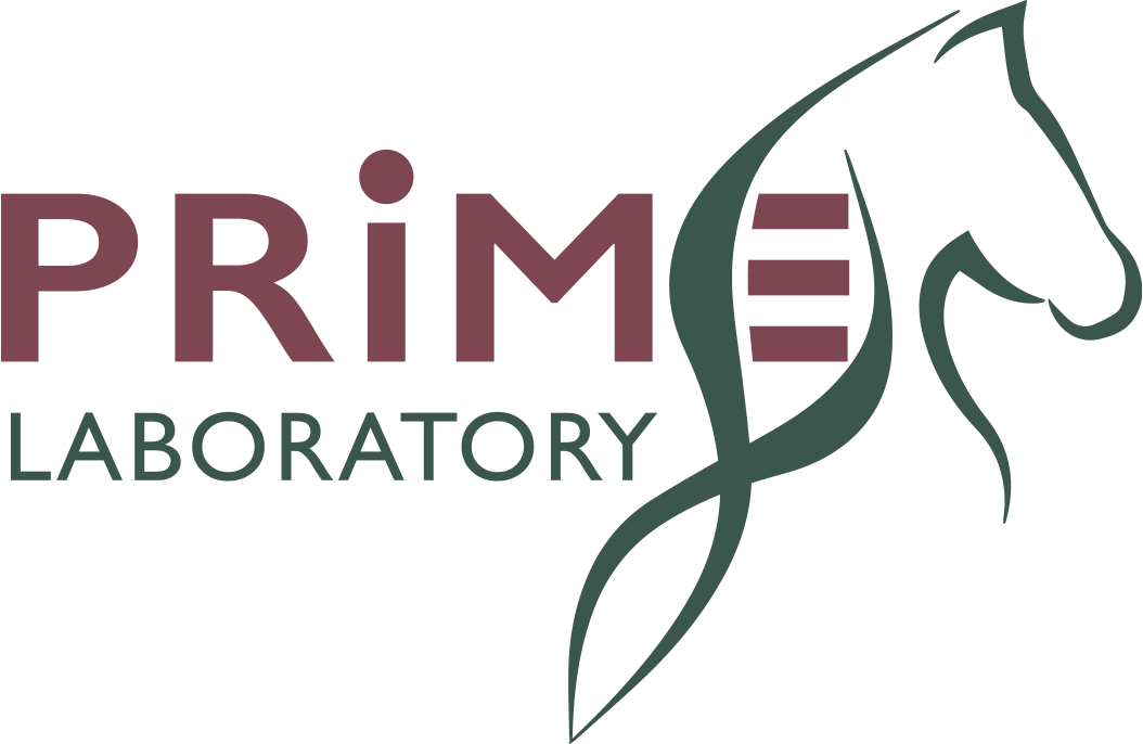 Prime Laboratory (Bangkok) – บริการตรวจสุขภาพและวินิจฉัยโรคระดับพรีเมียม