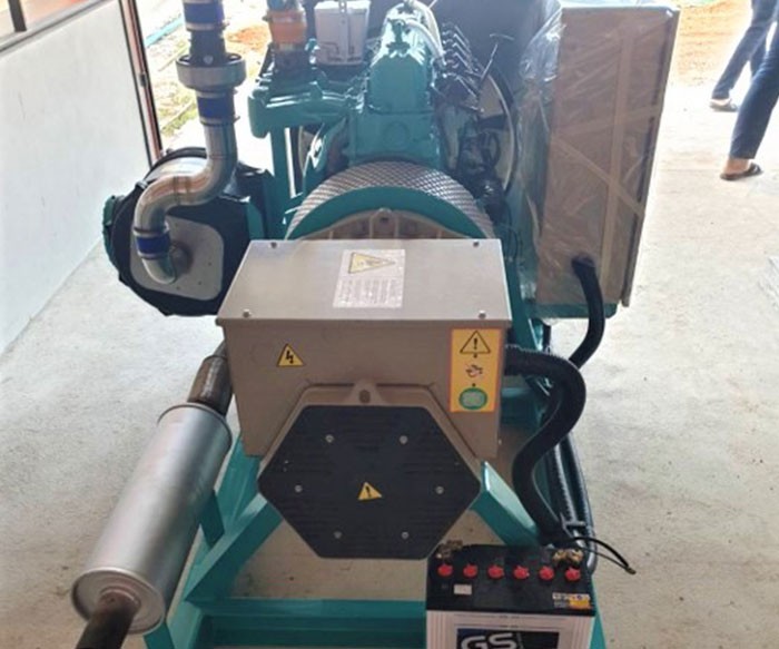 Biogas Engine
