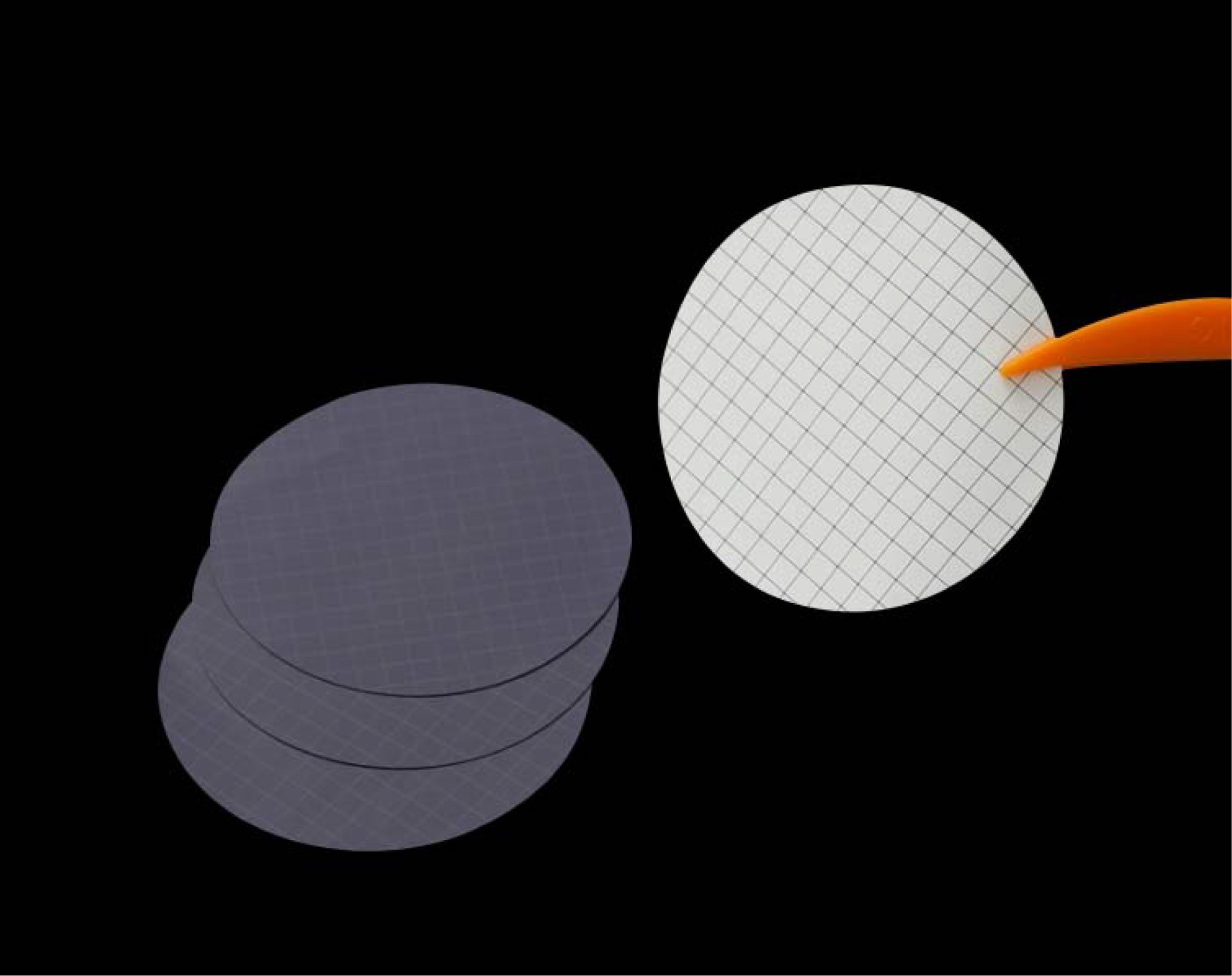 MCE Gridded Membrane Filter