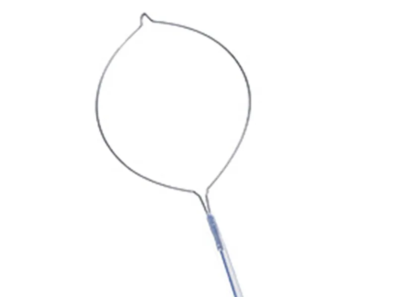 Polypectomy Snare