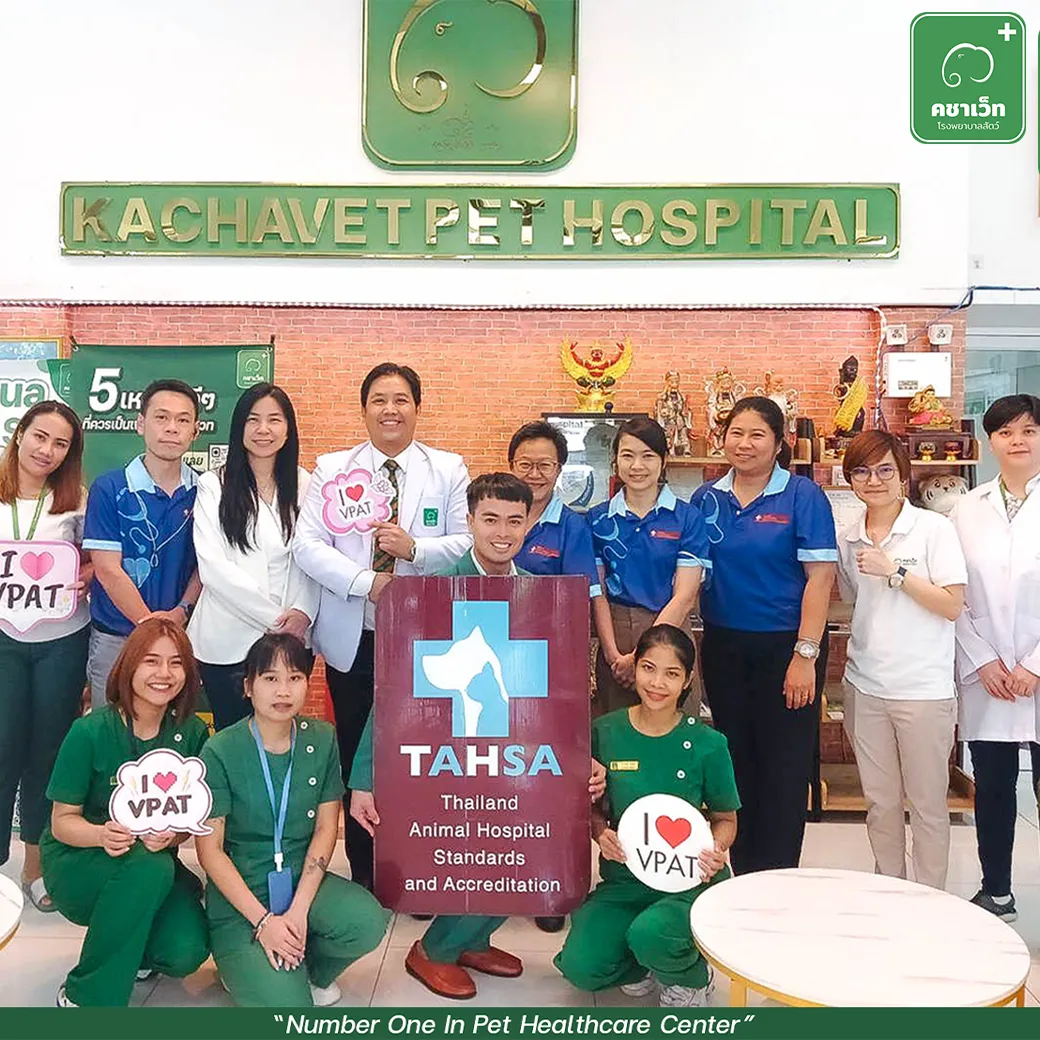 โรงพยาบาลสัตว์คชาเว็ทผ่านมาตราฐาน TAHSA ลำดับที่ 10