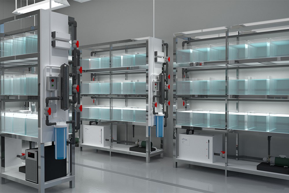 Faculty of Veterinary Science, Kasetsart University, Bangkok (2021)