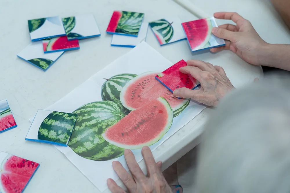 ความเป็นมา