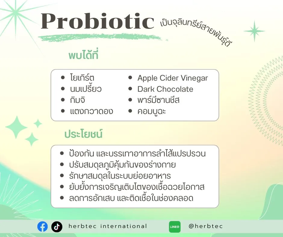 Probiotic สำคัญนั้นอย่างไร
