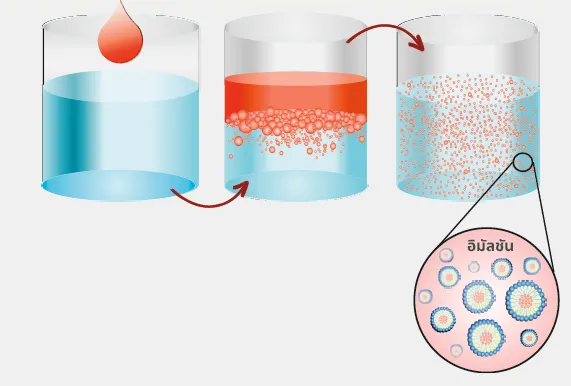 NUTRA ASTA 6 mg 30 'C